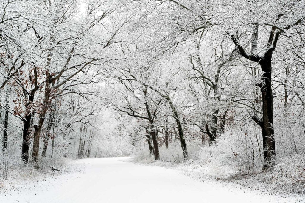 15 HONEST Pros & Cons of Living in Indiana (Helpful Local Guide)