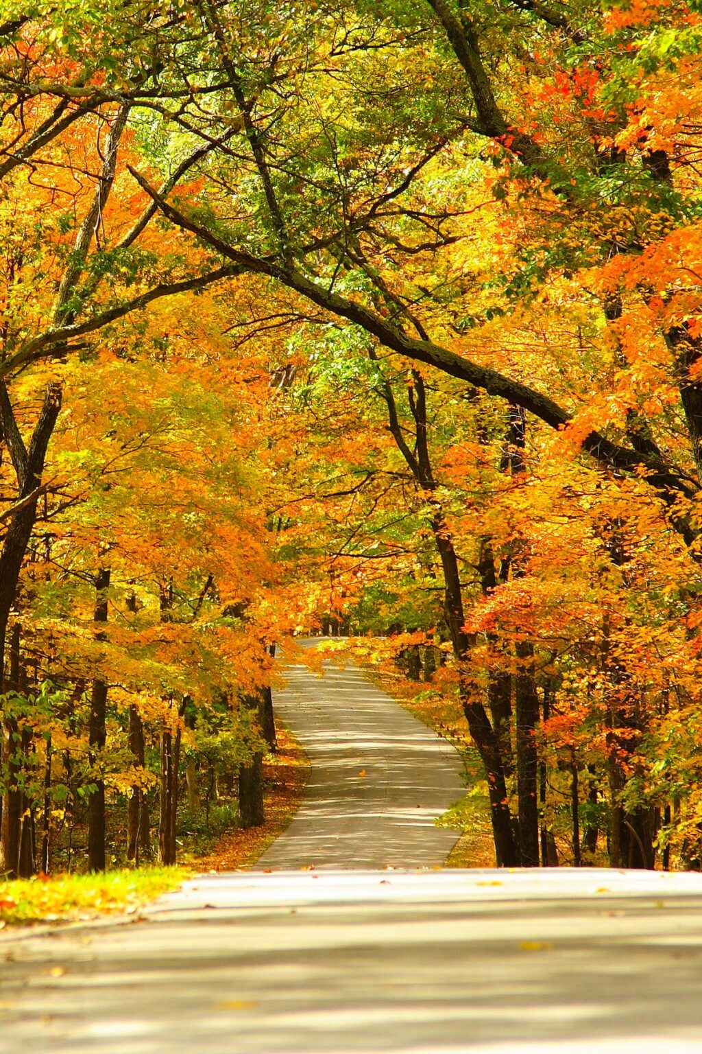 15 HONEST Pros & Cons of Living in Indiana (Helpful Local Guide)