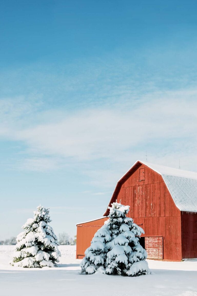 15 HONEST Pros & Cons of Living in OHIO (+ Advice From Locals)